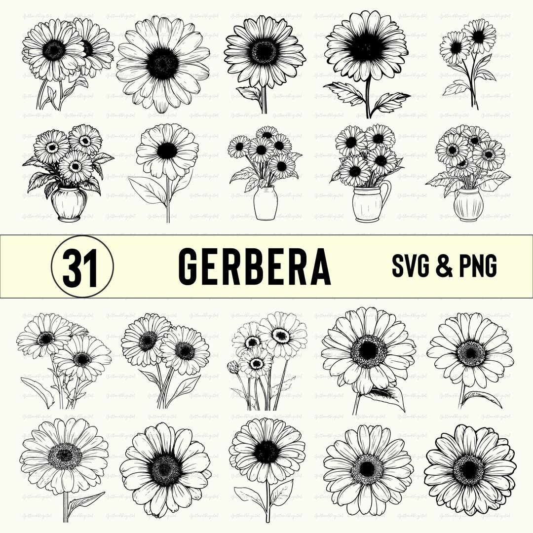Gerbera Svg Png, Gerbera Silhouette, Gerbera Clipart, Gerbera Vector ...