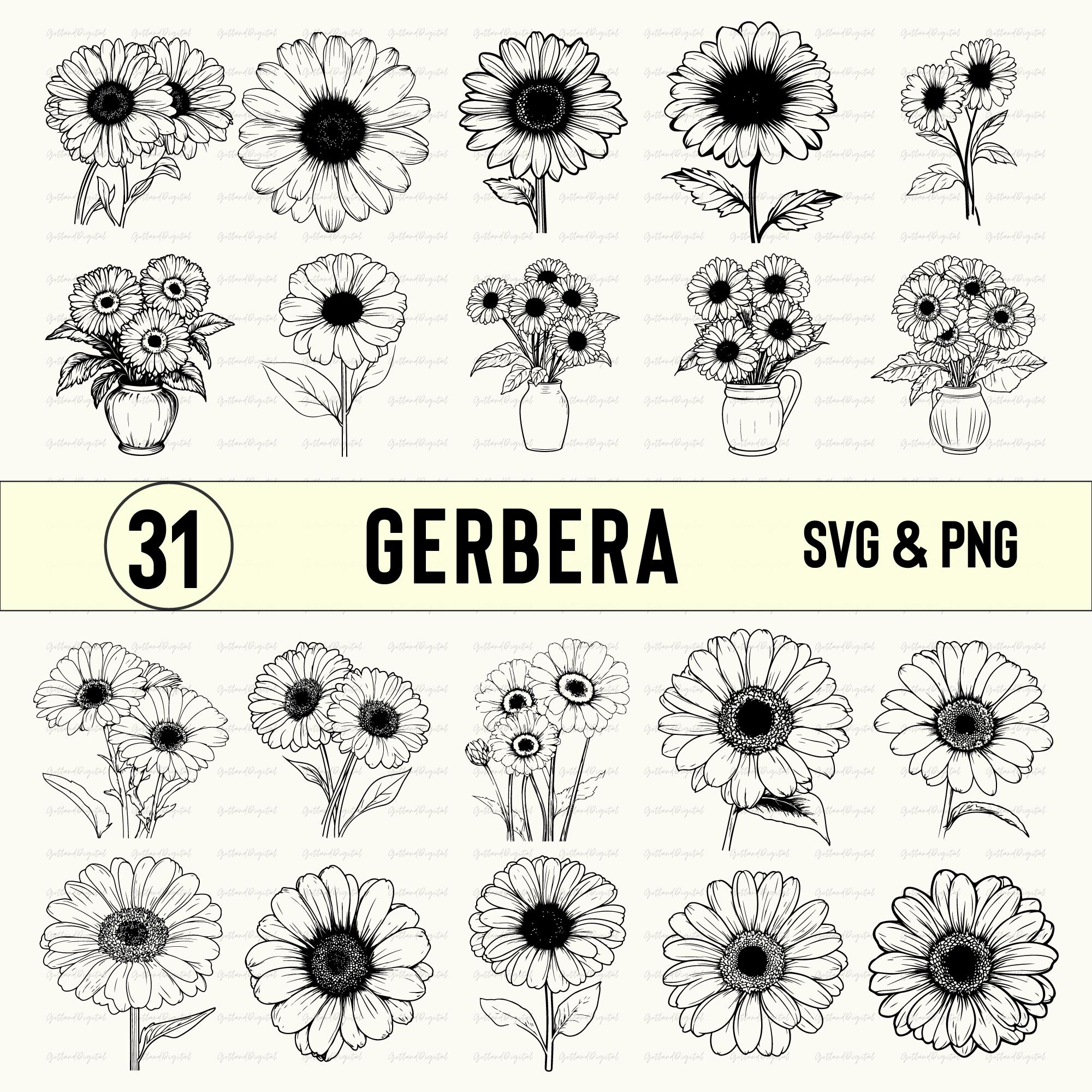 Gerbera Flower SVG PNG: Floral Outline Clipart, Cricut Cut File - Etsy