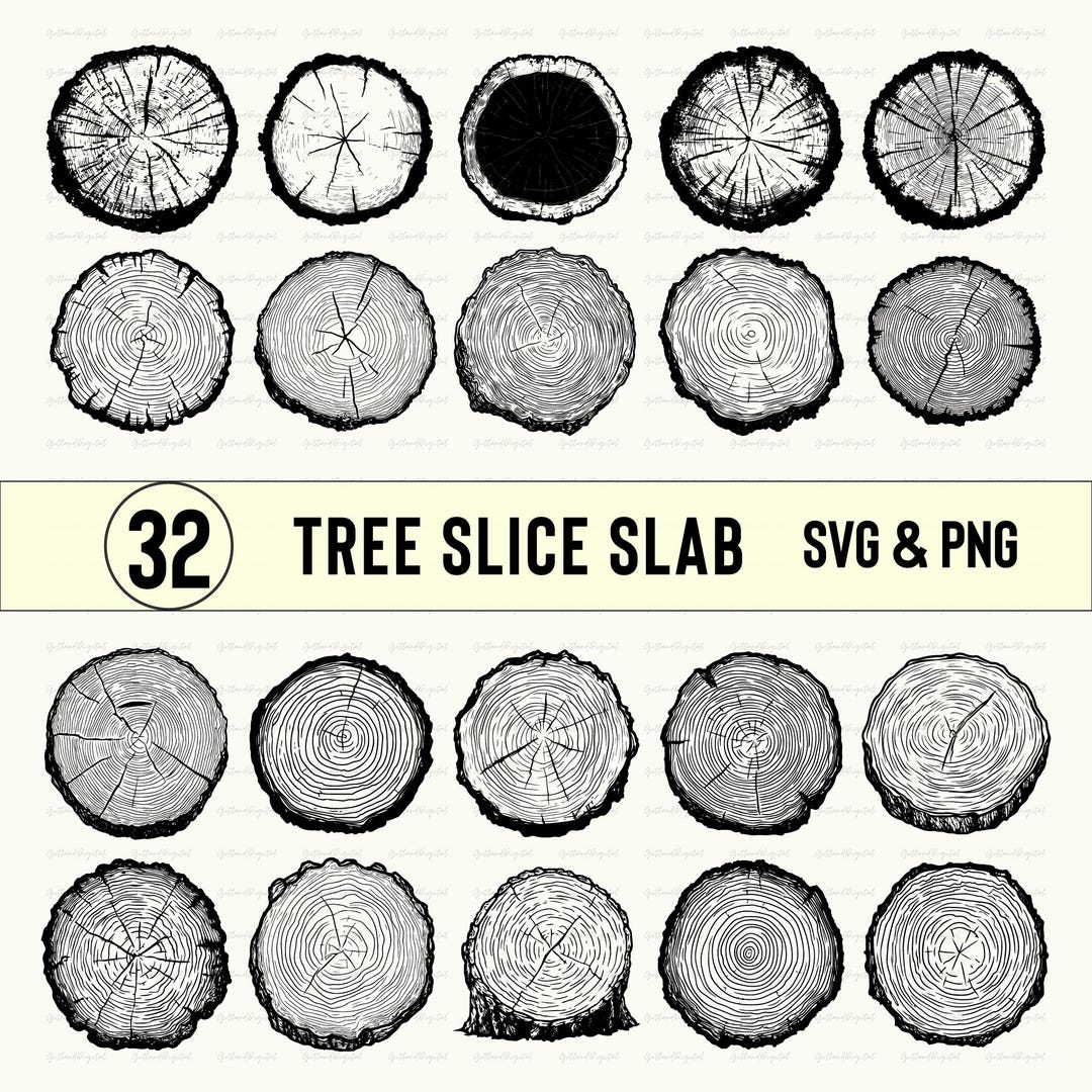 Tree Slice Slab SVG PNG: Wood Cut Files, Clipart, Logos - Etsy