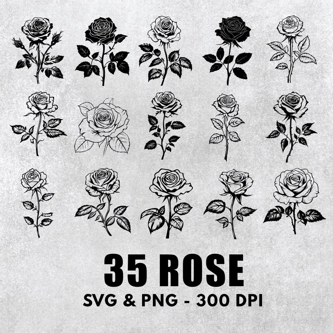 Rose SVG Bundle: Silhouette Clipart, Decal Designs (PNG, 300 DPI) - Etsy
