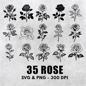 Rose SVG Bundle: Silhouette Clipart, Decal Designs (PNG, 300 DPI) - Etsy