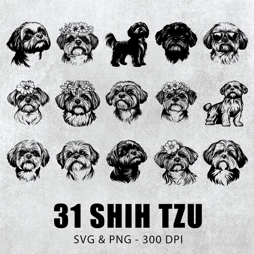 Shih Tzu SVG Bundle: Silhouette Clipart Vector Designs (PNG) - Etsy