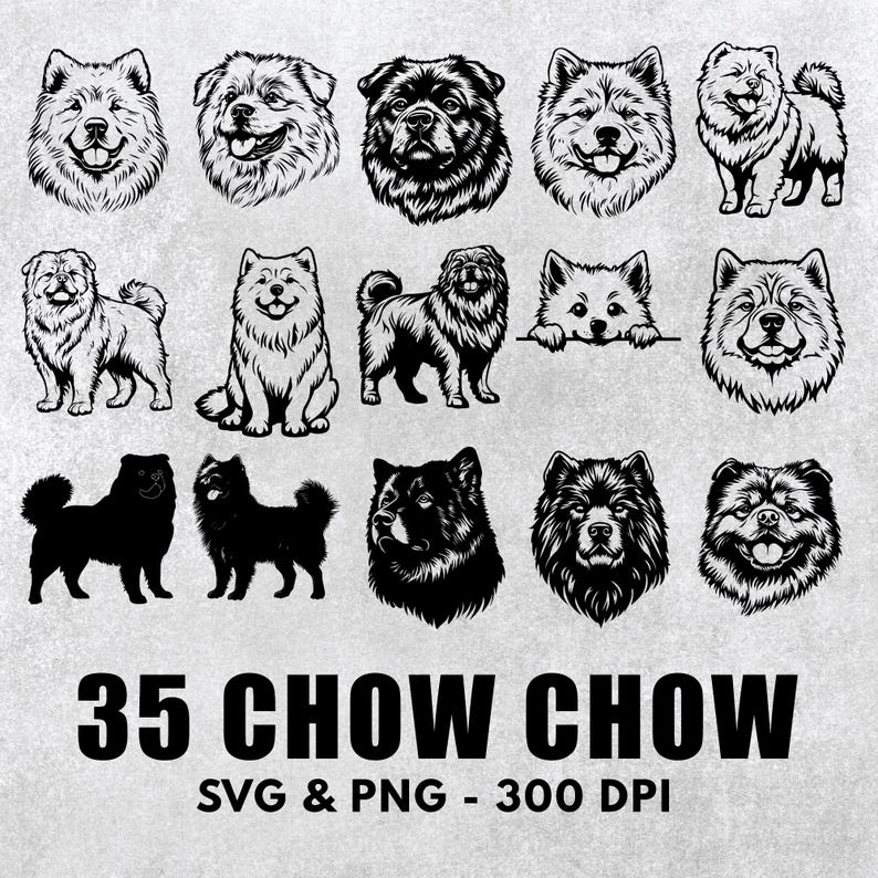 Chow Chow SVG Bundle: Vector Clipart, Decal, Logo (PNG) - Etsy