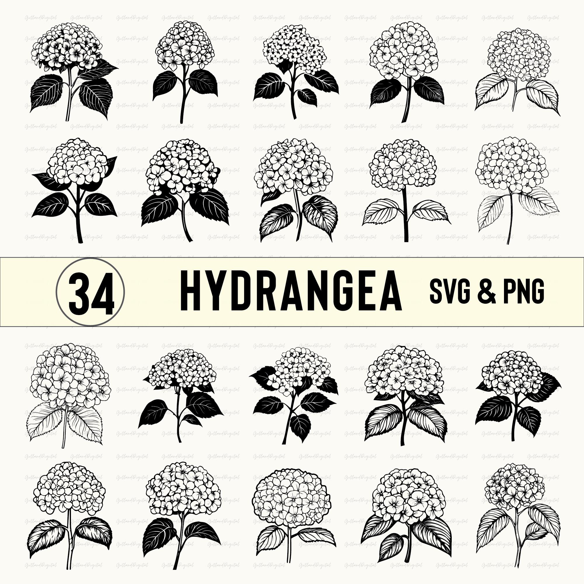 Hydrangea Svg Bundle, Hydrangea Silhouette, Hydrangea Clipart ...