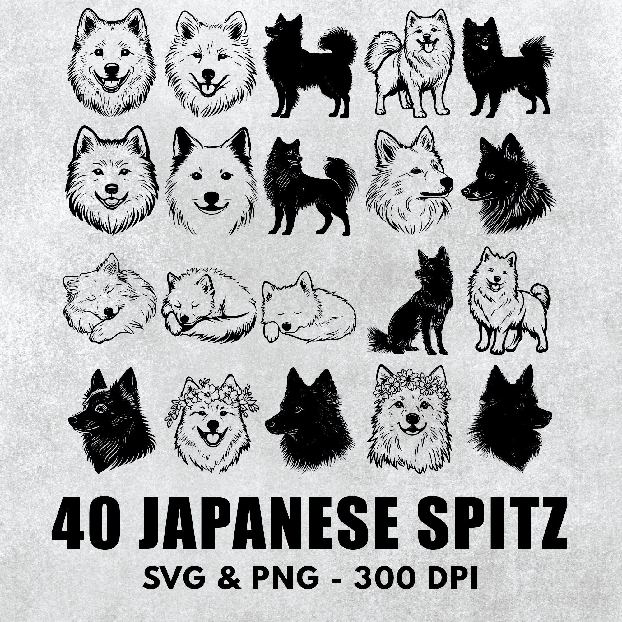 Japanese Spitz Silhouette Bundle: Vector Clipart, Decal Icon (SVG & PNG ...