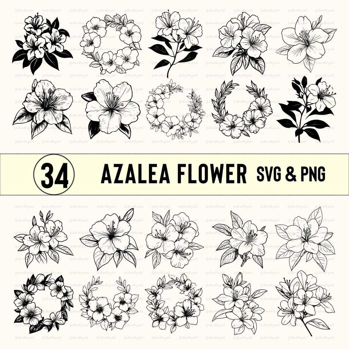 Azalea Flower SVG PNG Bundle: Floral Clipart, Silhouette, Vector ...