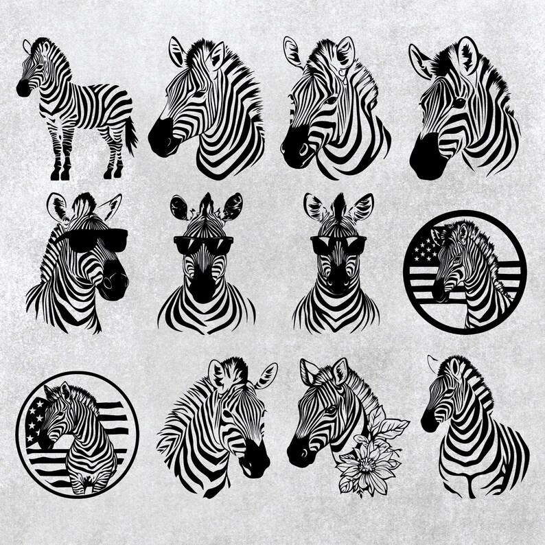 Zebra SVG Bundle: Silhouette Clipart Vector Designs (PNG) - Etsy