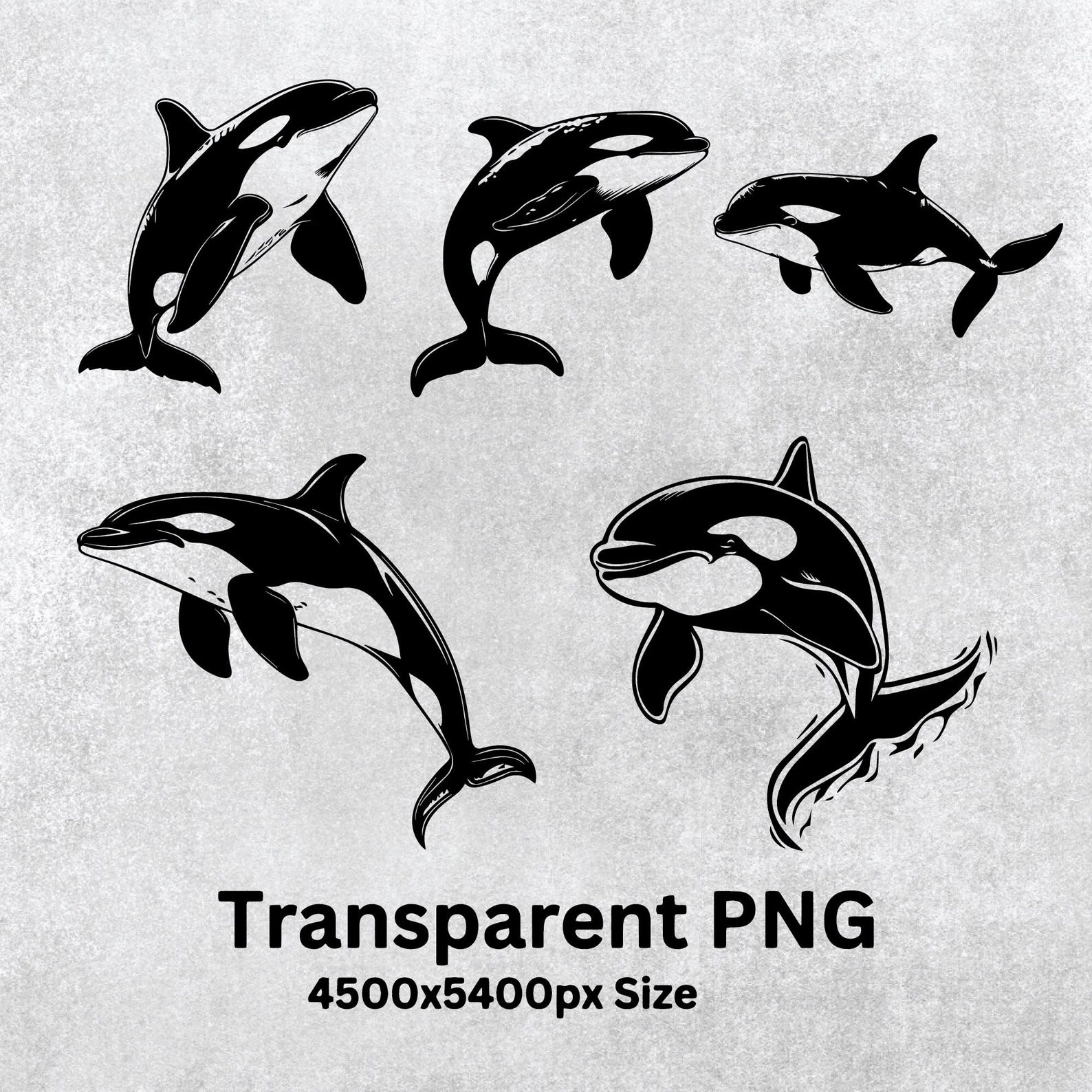 Orca Svg Bundle, Orca Vector Set, Orca Clipart, Orca Decal, Orca Art ...
