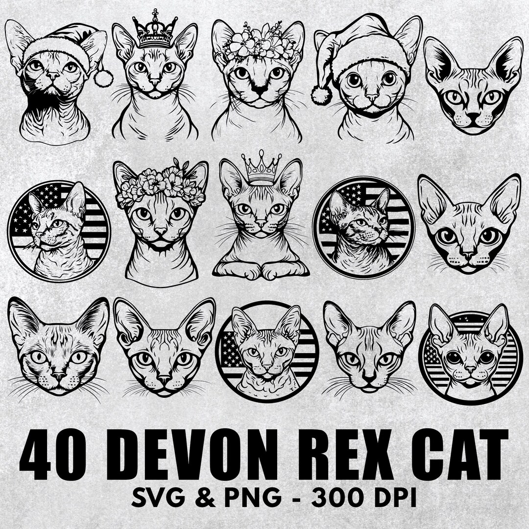 Devon Rex Cat Svg Bundle, Devon Rex Cat Silhouette Png, Devon Rex Cat ...