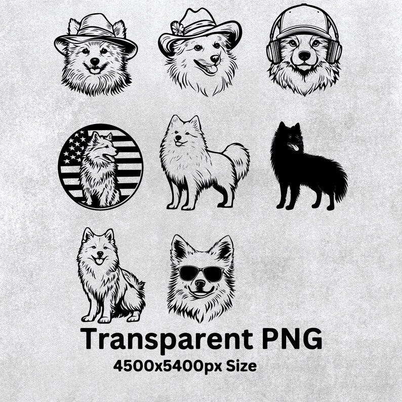 American Eskimo Svg Bundle, American Eskimo Silhouette, American Eskimo ...