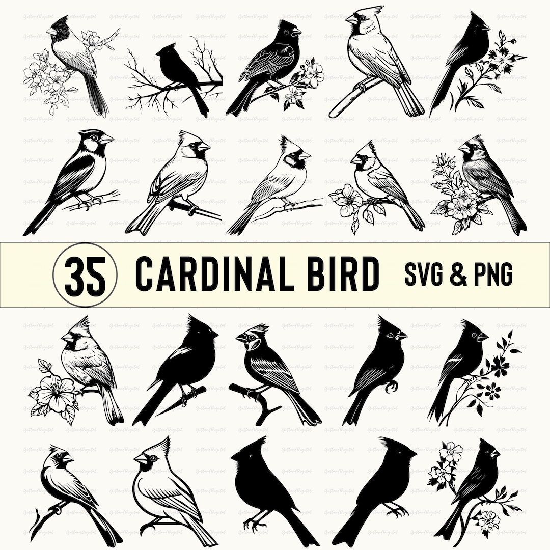 Cardinal Bird Svg Bundle, Cardinal Bird Silhouette, Cardinal Bird ...