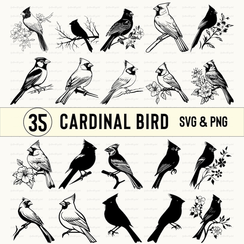 Cardinal Decal - Etsy