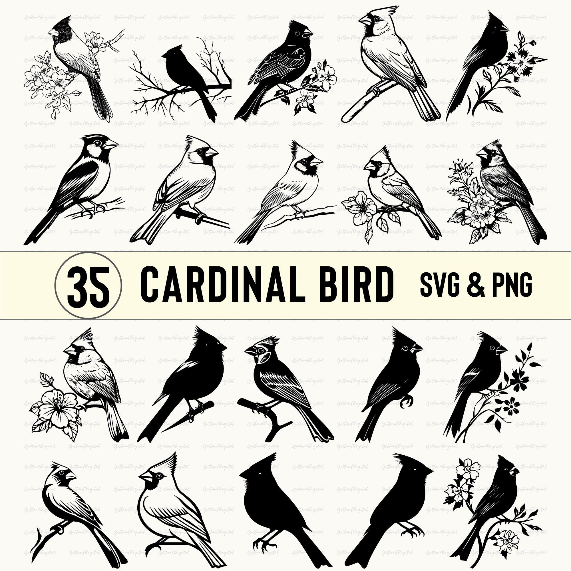 Cardinal Clipart Black And White