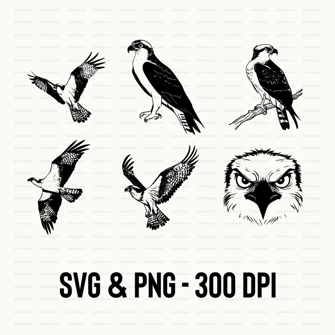 Osprey SVG Bundle: Silhouette Clipart, Vector Decal (PNG) - Etsy