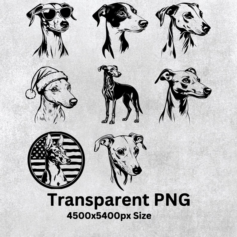 Whippet Silhouette SVG Bundle: Dog Clipart, Decal, Logo (PNG) - Etsy