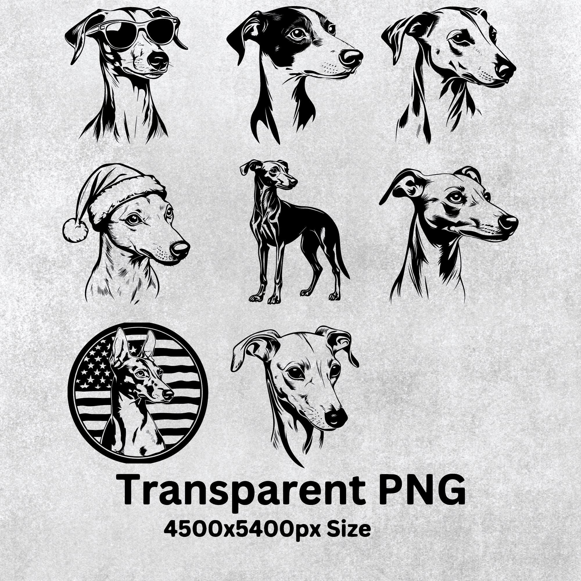 Whippet Svg Bundle, Whippet Silhouette, Whippet Clipart, Whippet Vector ...