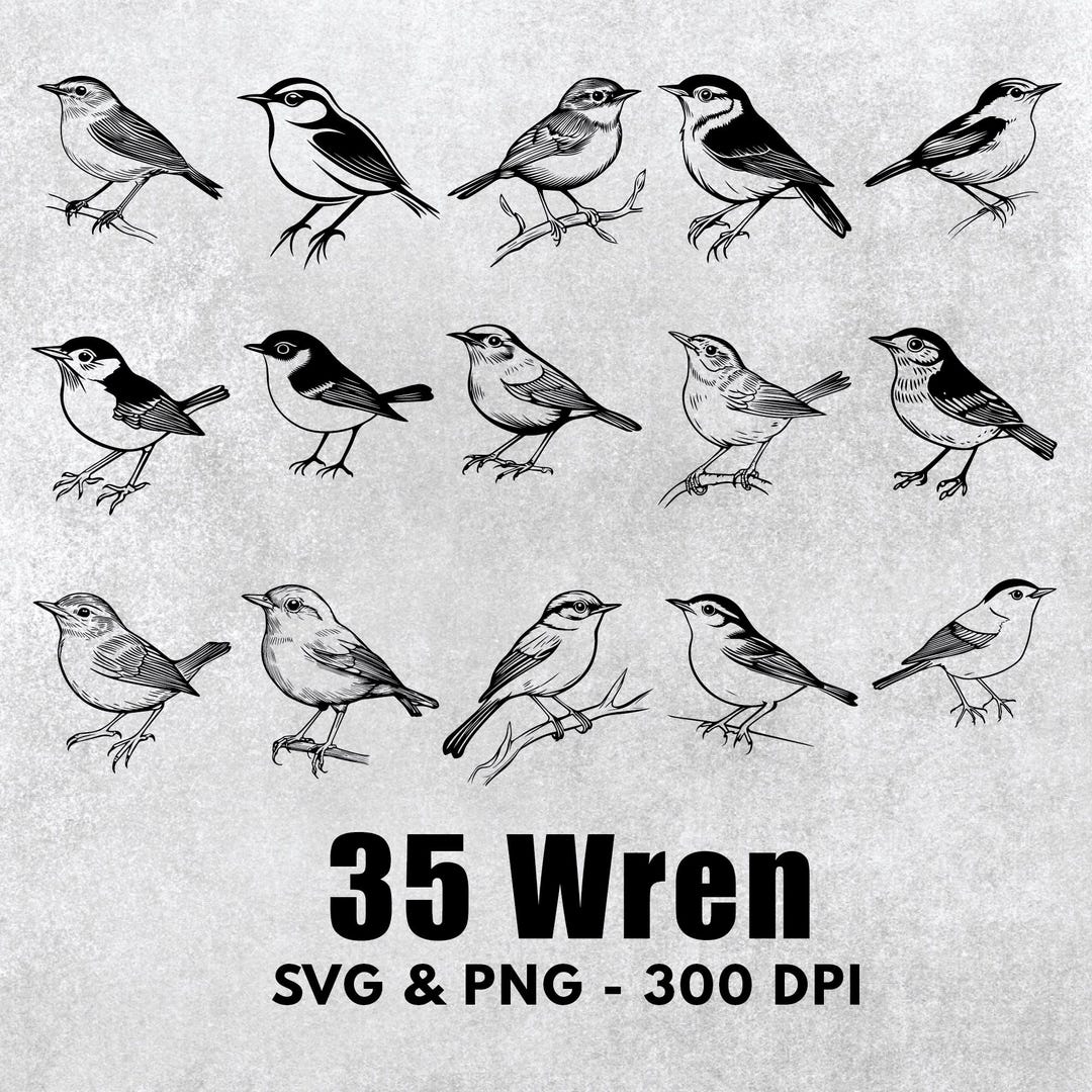 Wren Svg Bundle, Wren Silhouette Set, Wren Clipart, Wren Decal, Wren ...