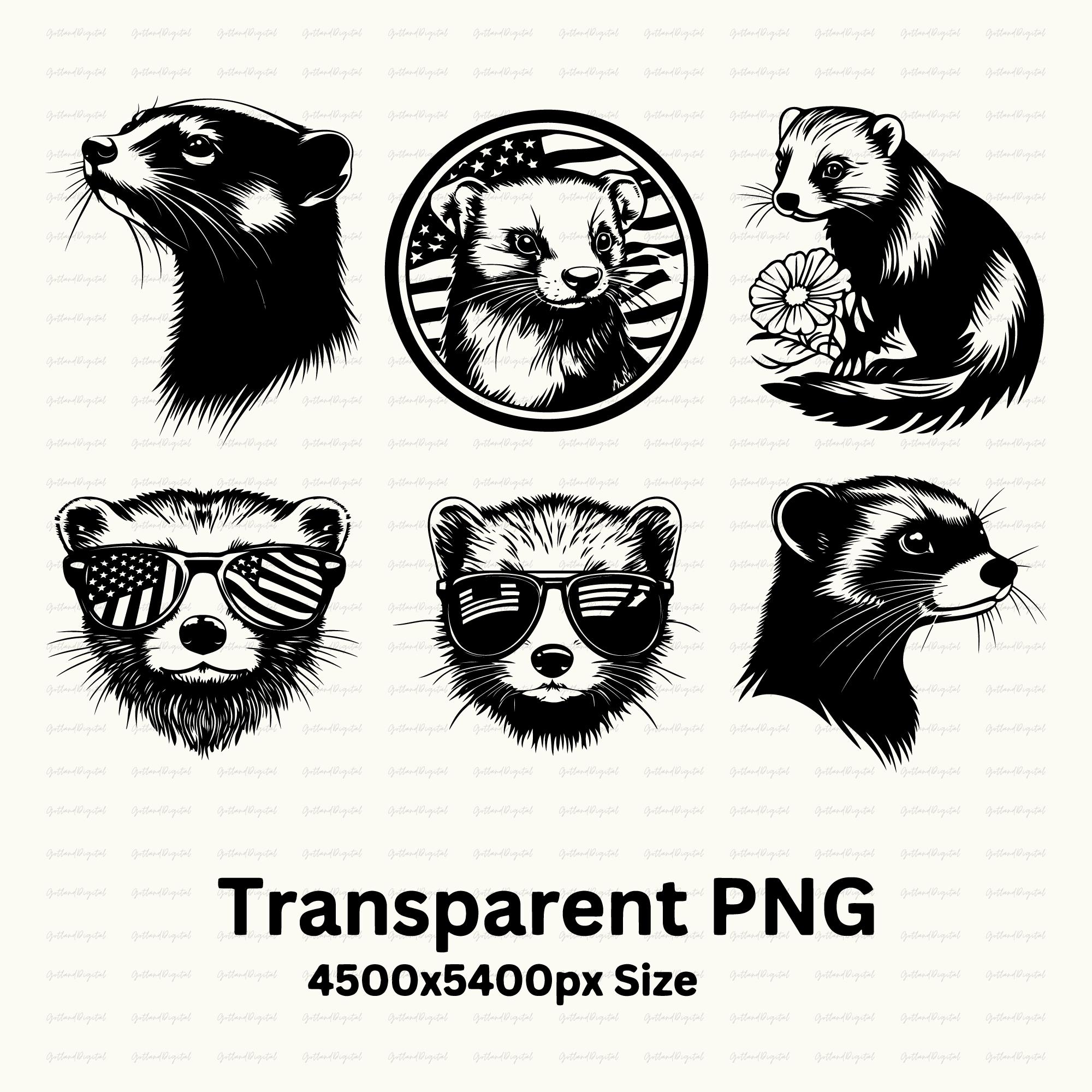 Ferret Clipart: Silhouette Vector Cut Files (SVG, PNG) - Etsy