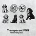 Bernedoodle SVG Bundle: Dog Clipart, Vector Decal (PNG) - Etsy