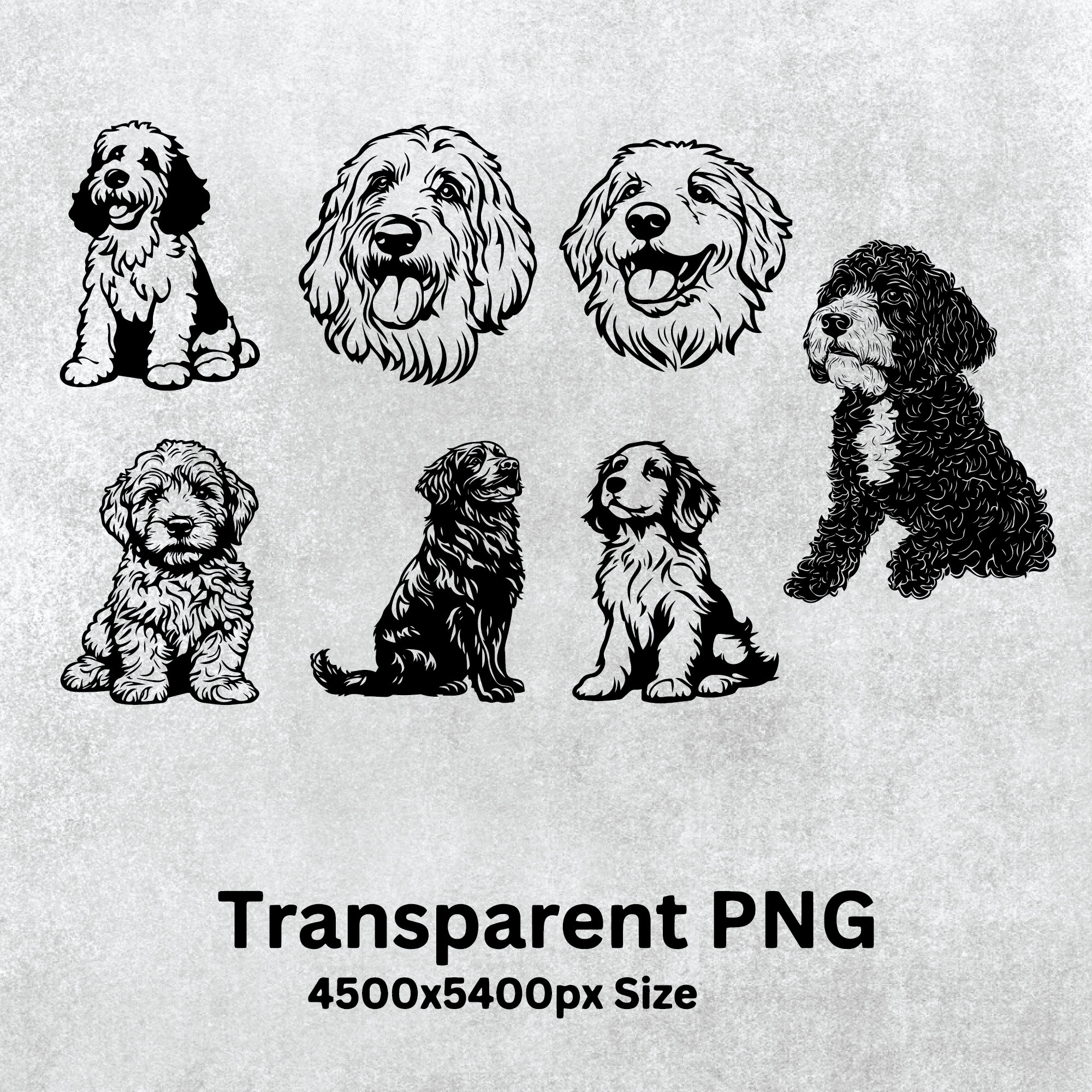 Bernedoodle SVG Bundle: Dog Clipart, Vector Decal (PNG) - Etsy