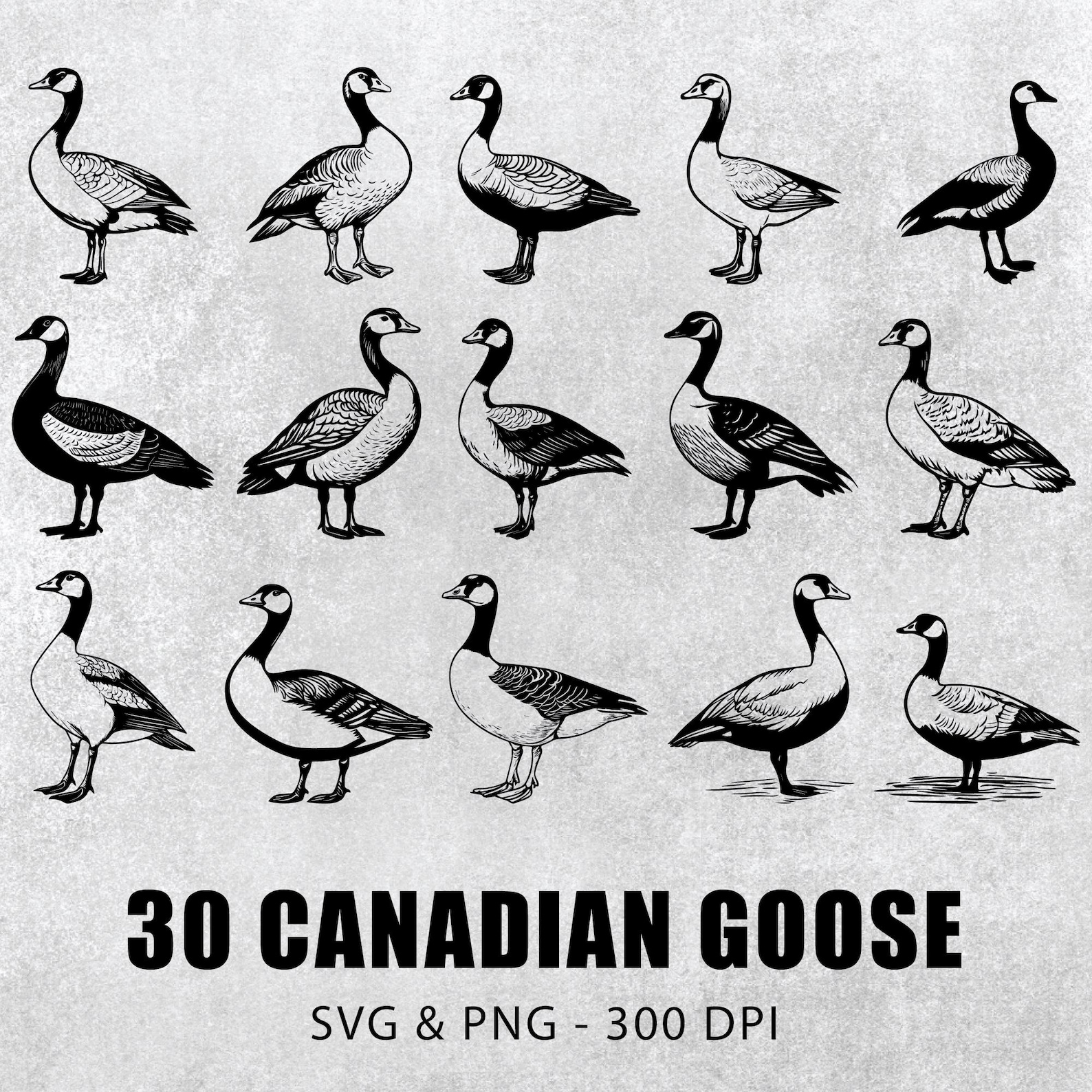 Canadian Goose Silhouette Bundle Svg, Canadian Goose Svg Vector Set ...