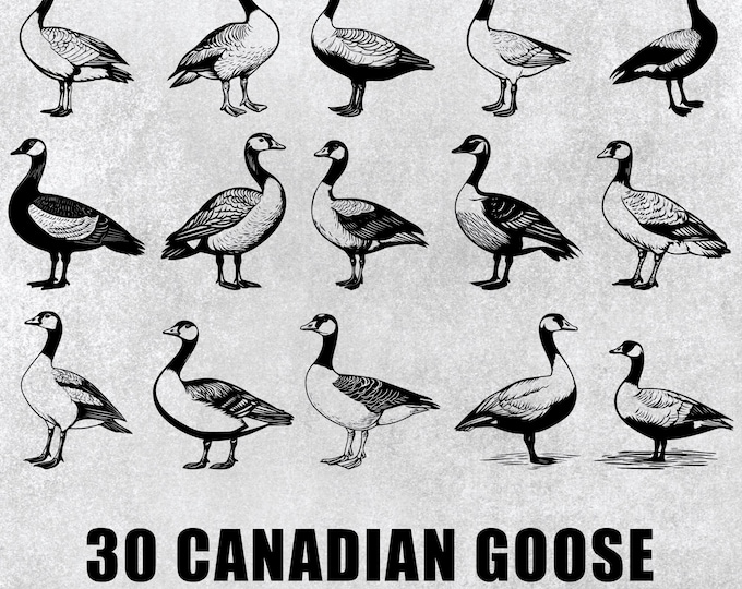 Canadian Goose Svg, Goose Standing Svg, Canadian Goose Clipart, Goose ...