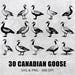 Canadian Goose Silhouette Bundle Svg, Canadian Goose Svg Vector Set ...