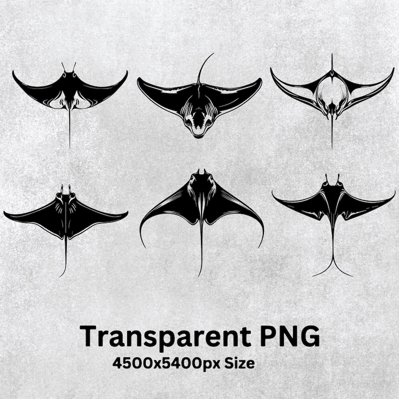 Manta Ray Svg Bundle, Manta Ray Vector Set, Manta Ray Clipart, Manta ...