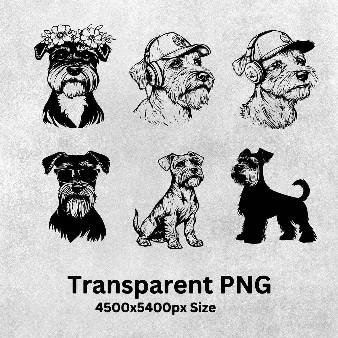 Miniature Schnauzer Svg Bundle, Miniature Schnauzer Silhouette Set ...