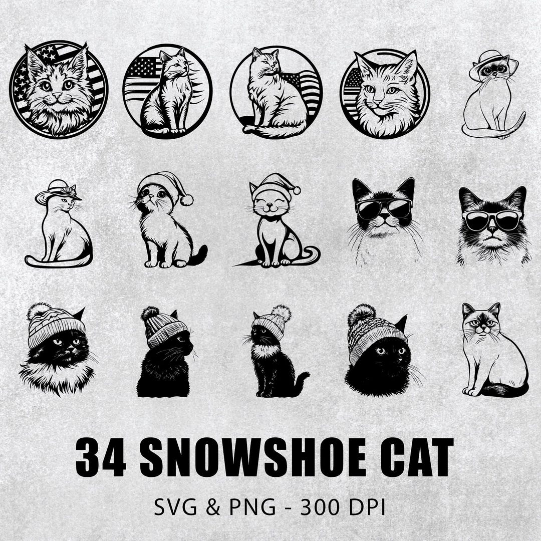 Snowshoe Cat Svg Png Bundle, Snowshoe Cat Vector Set, Snowshoe Cat ...