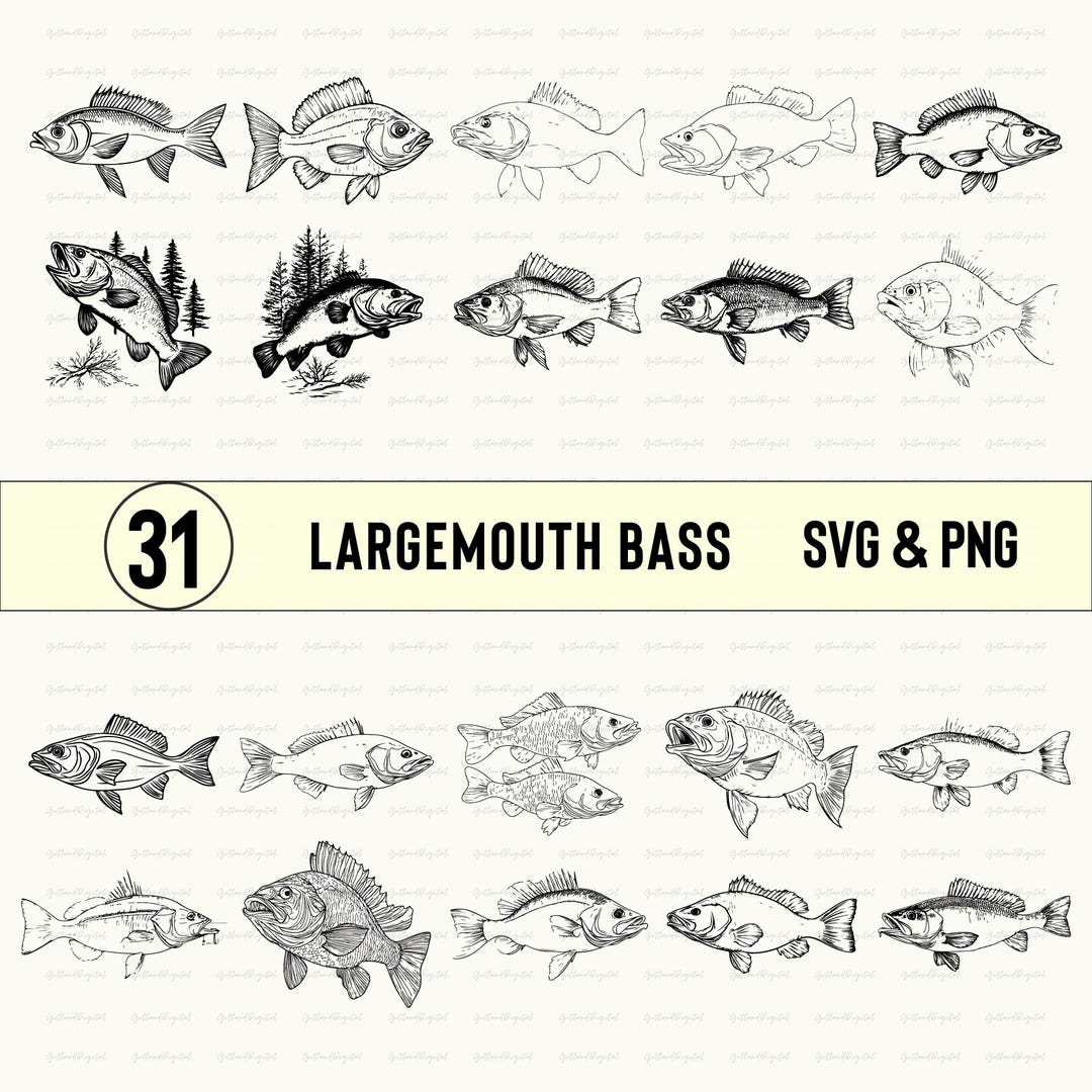 Largemouth Bass Svg Png, Largemouth Bass Clipart, Largemouth Bass ...