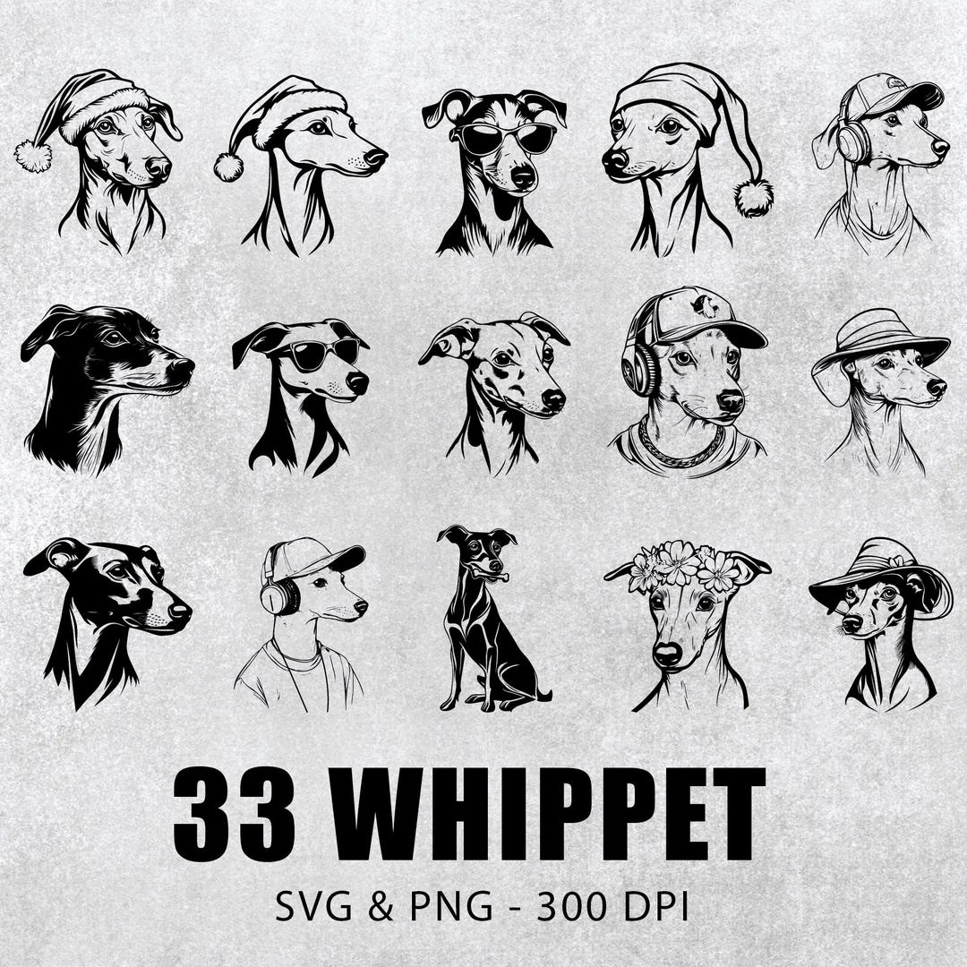 Whippet Svg Bundle, Whippet Silhouette, Whippet Clipart, Whippet Vector ...