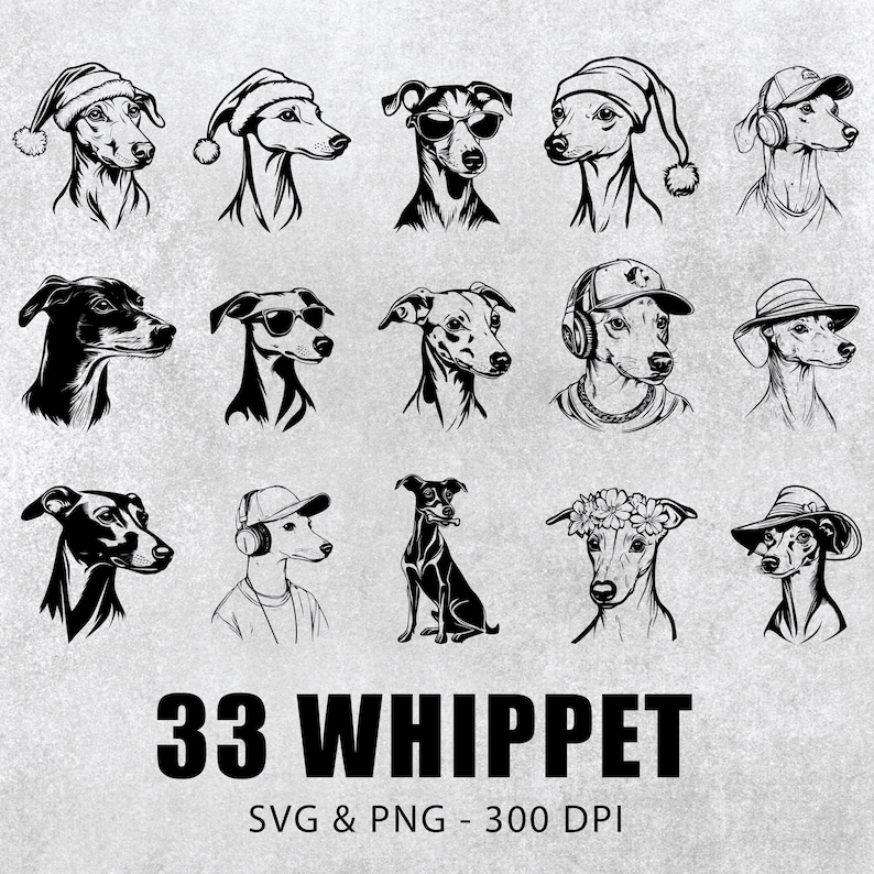 Whippet Svg Bundle, Whippet Silhouette, Whippet Clipart, Whippet Vector ...