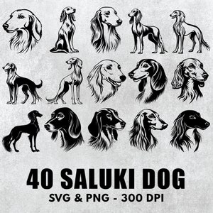 Saluki Silhouette Bundle: Vector Clipart, Decal Art (SVG, PNG) - Etsy