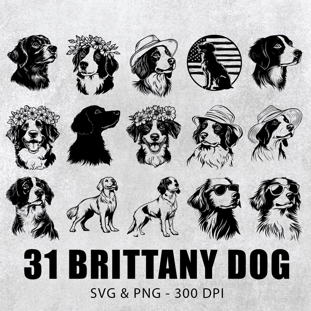 Brittany Dog Svg Bundle, Brittany Dog Silhouette, Brittany Dog Clipart ...