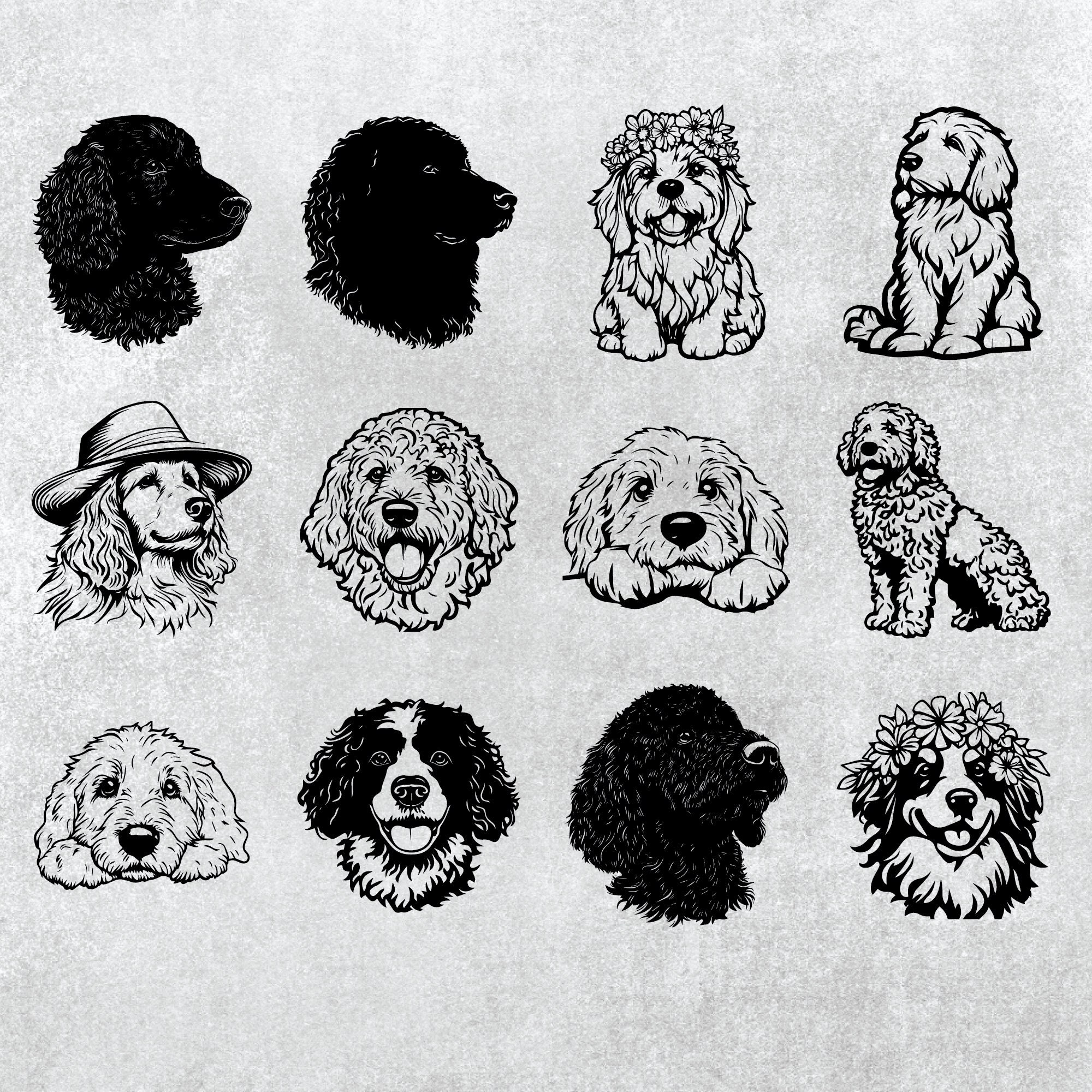 Bernedoodle SVG Bundle: Dog Clipart, Vector Decal (PNG) - Etsy