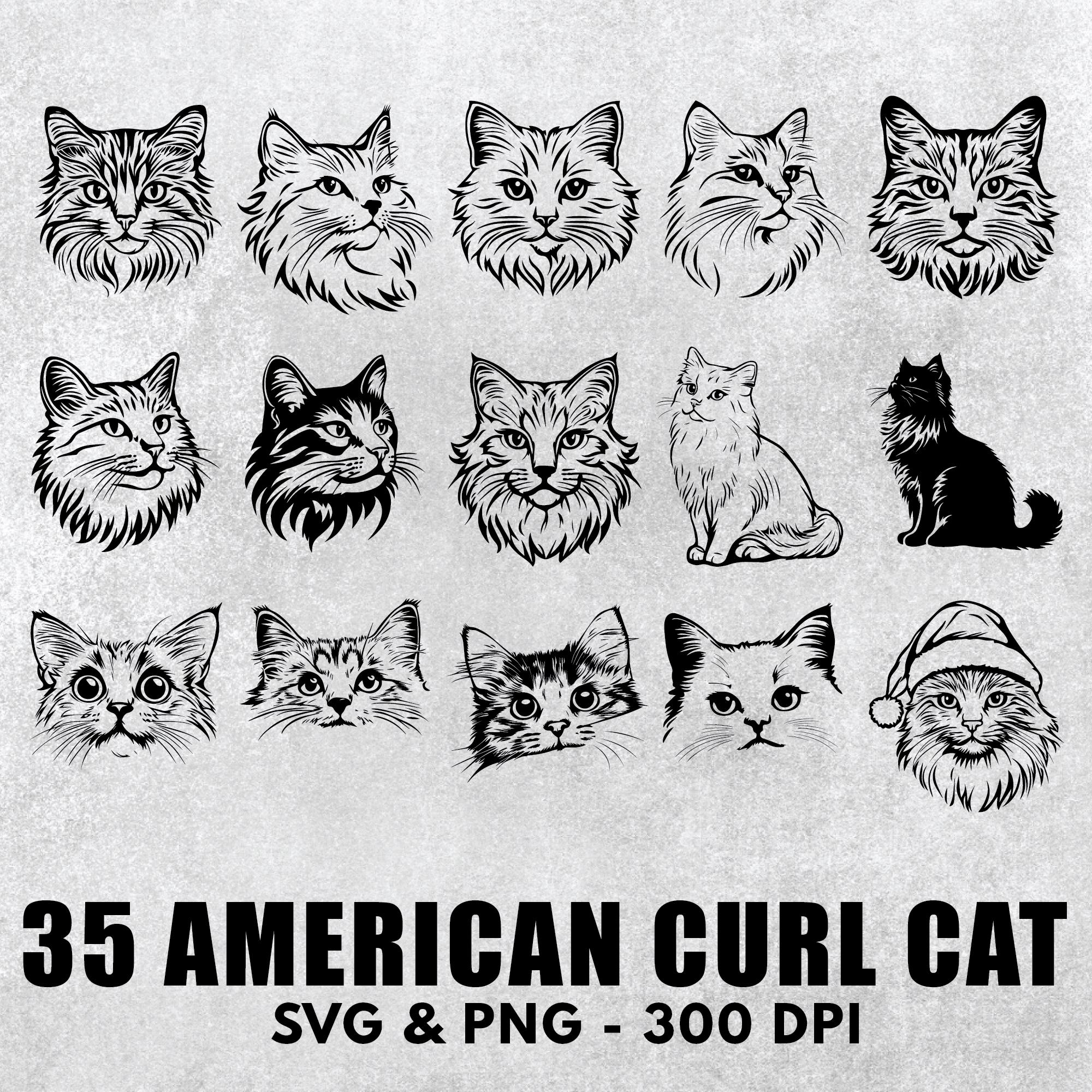 American Curl Cat Svg Bundle, American Curl Cat Silhouette Set ...