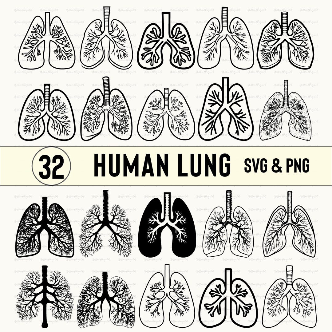Human Lung SVG Bundle: Silhouette Clipart Vector Decal (PNG, Cricut) - Etsy