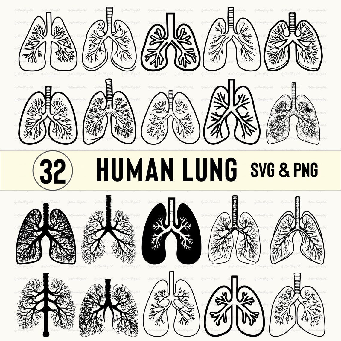 Human Lung Svg Bundle, Human Lung Silhouette, Human Lung Clipart, Human ...