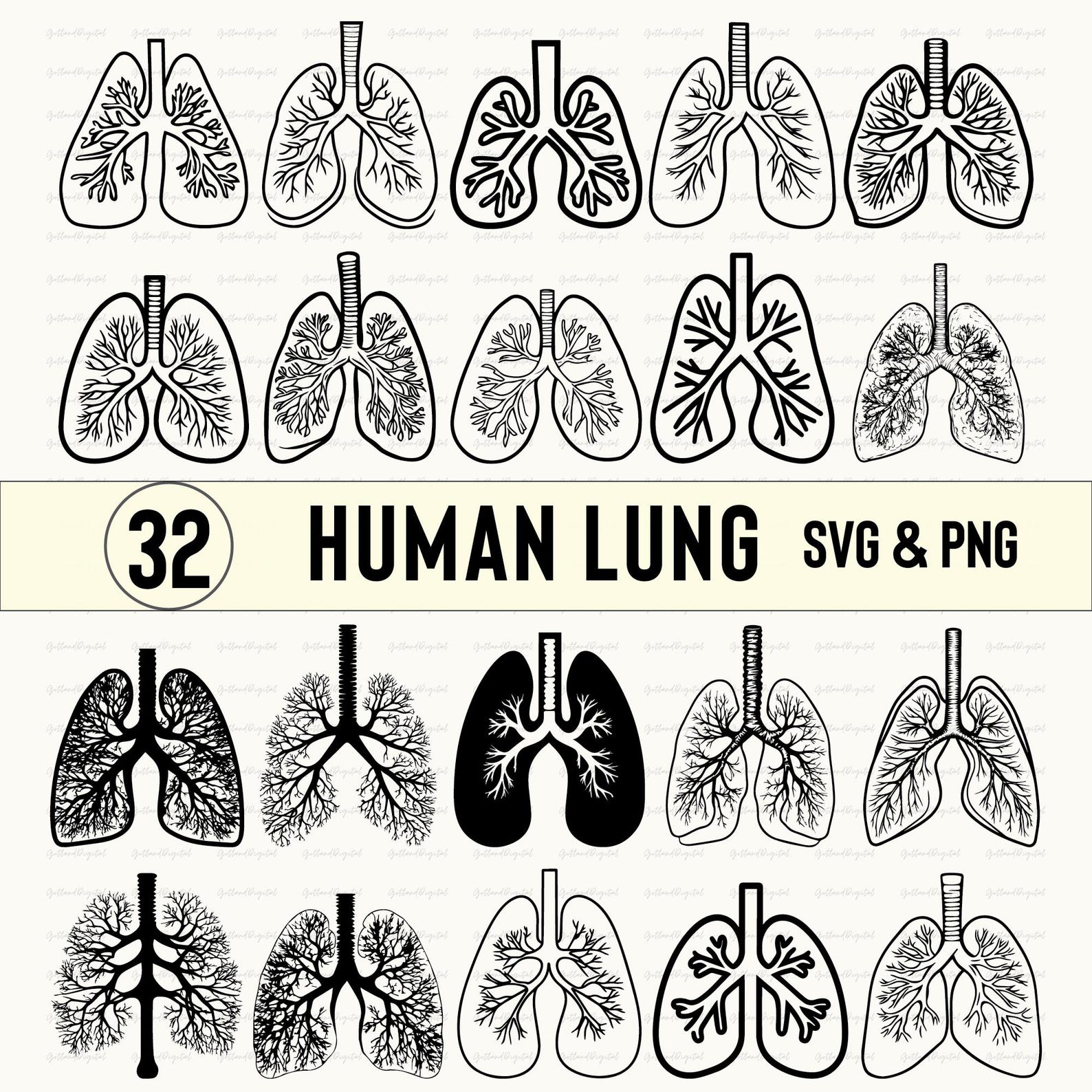 Human Lung Svg Bundle, Human Lung Silhouette, Human Lung Clipart, Human ...