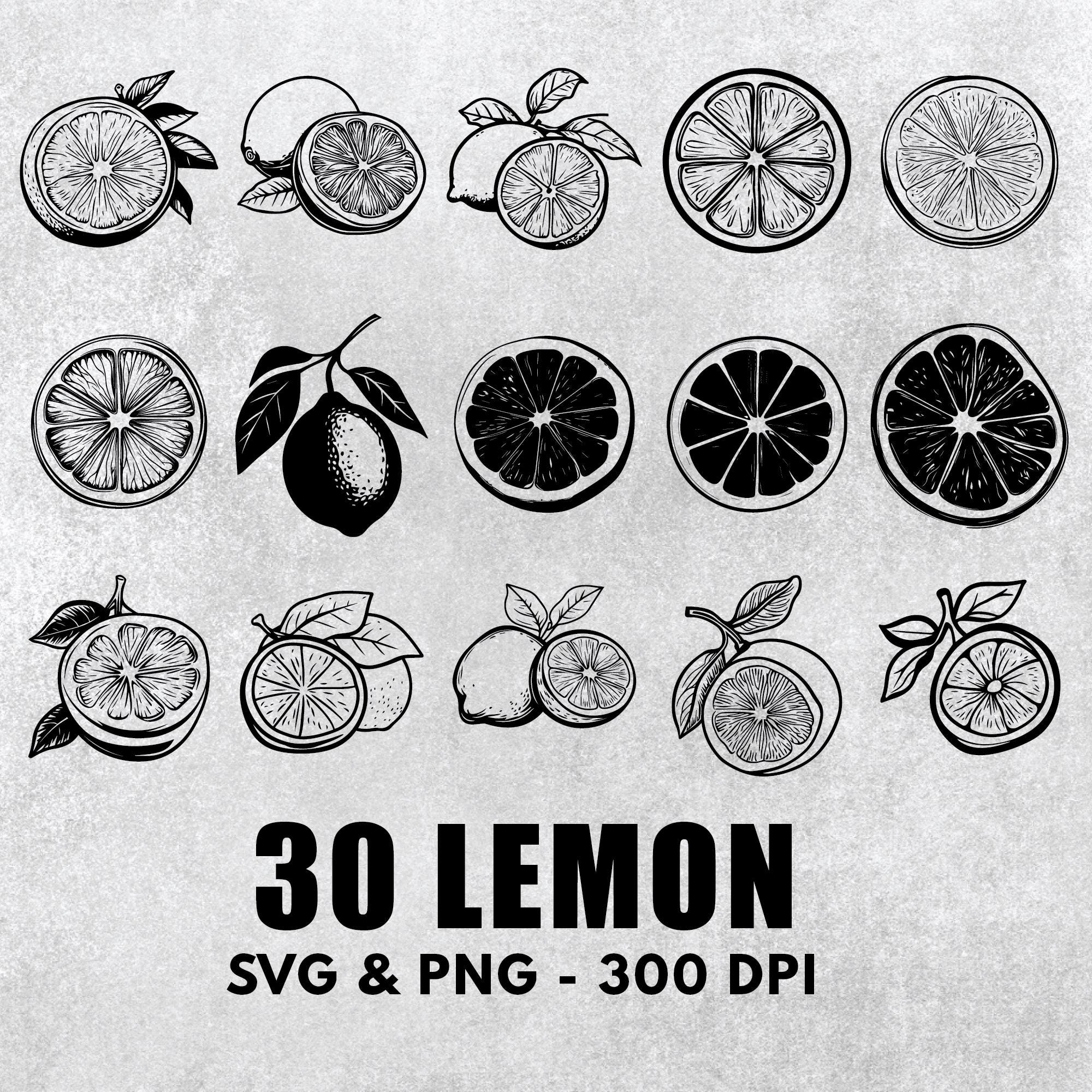 Lemon Svg Bundle, Lemon Svg Vector Set, Lemon Clipart, Lemon Decal ...