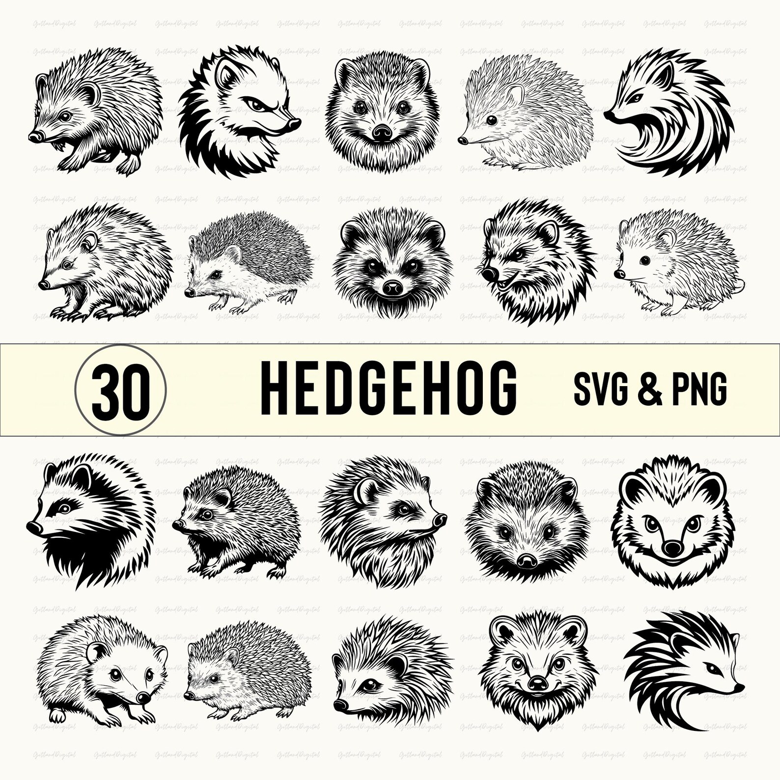 Hedgehog Svg Bundle, Hedgehog Silhouette, Hedgehog Clipart, Hedgehog ...
