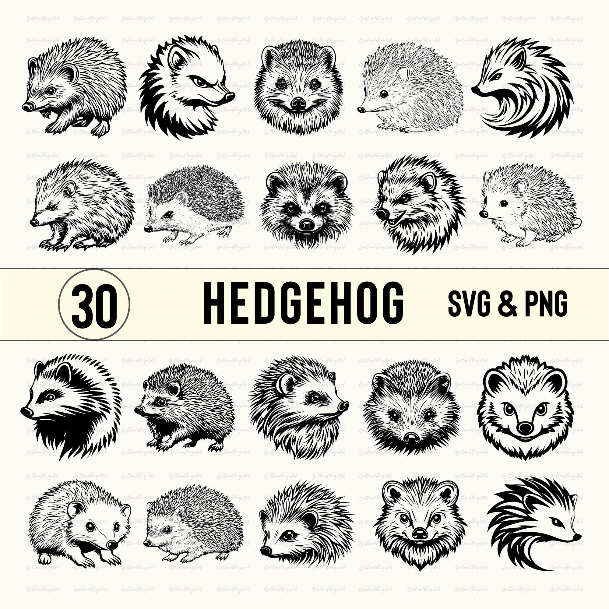 Hedgehog Svg Bundle, Hedgehog Silhouette, Hedgehog Clipart, Hedgehog ...