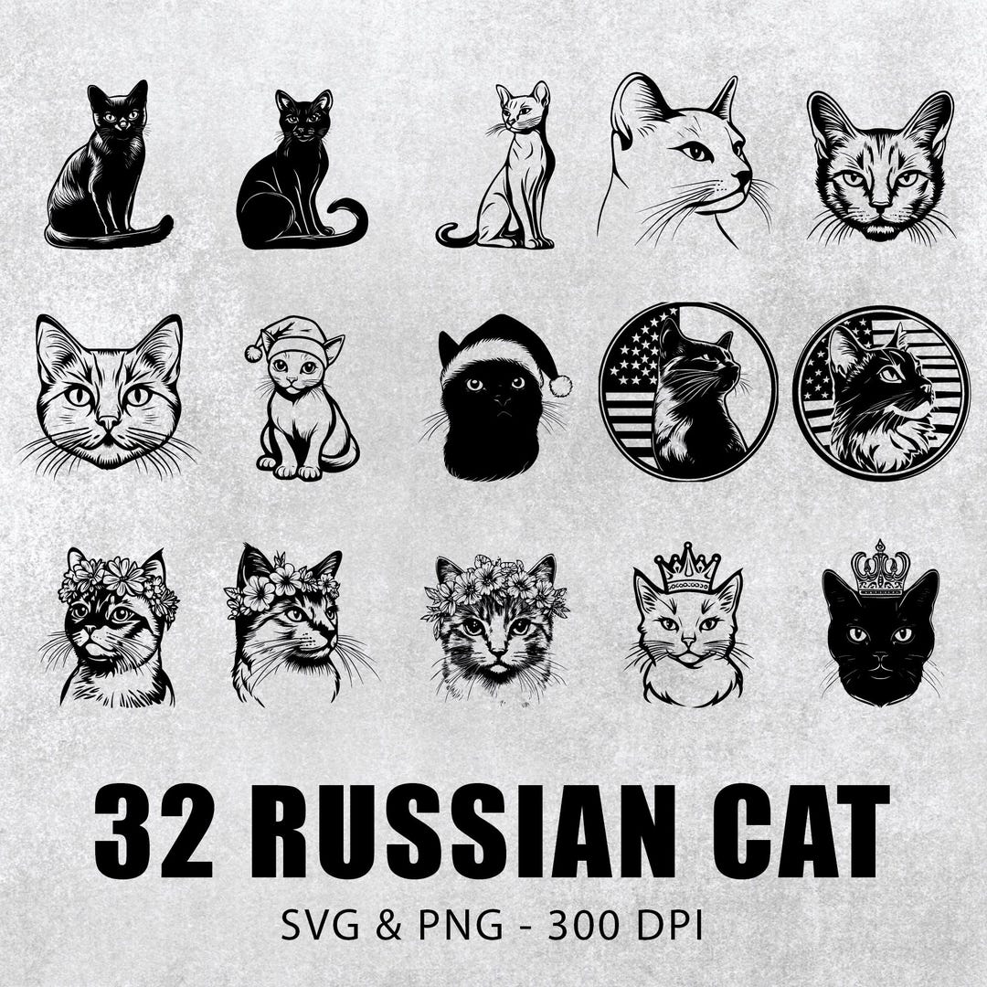 Russian Cat Svg Bundle, Russian Cat Silhouette Png, Russian Cat Clipart ...