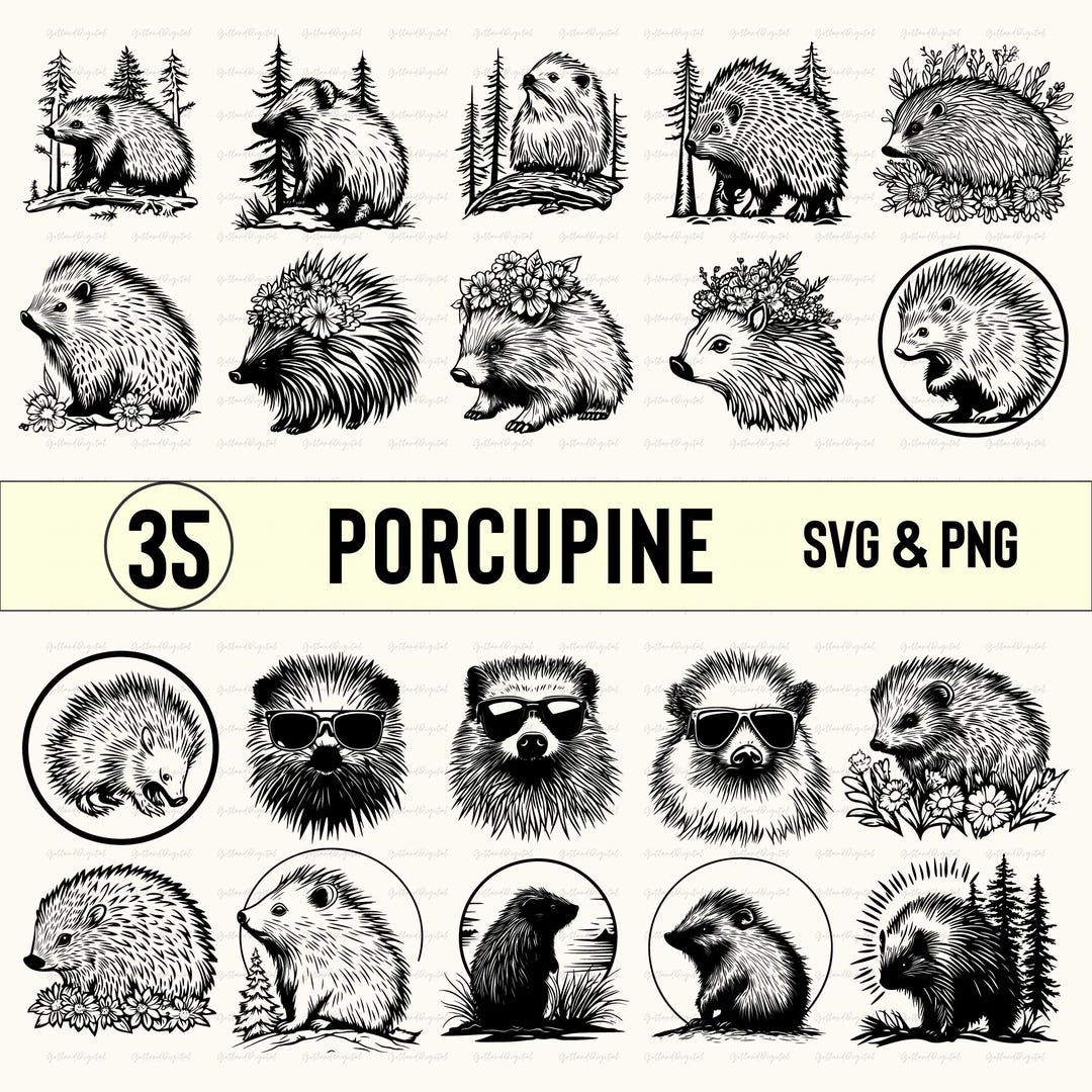 Porcupine Svg Png, Porcupine Clipart, Porcupine Silhouette, Porcupine ...