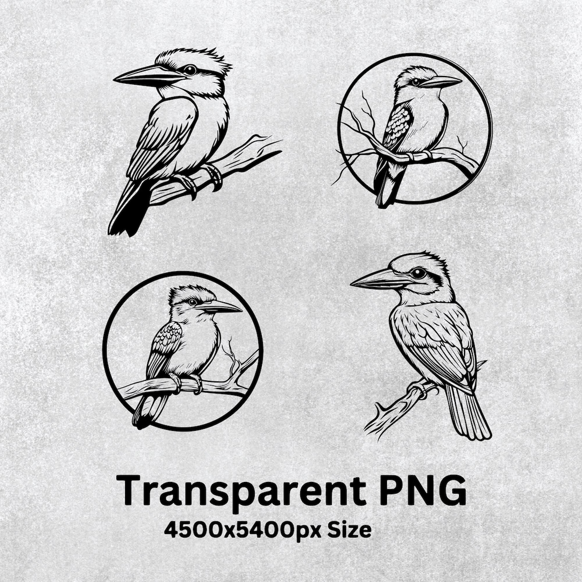 Kookaburra SVG Bundle: Silhouette Clipart, Logo Icon (PNG, Cricut) - Etsy