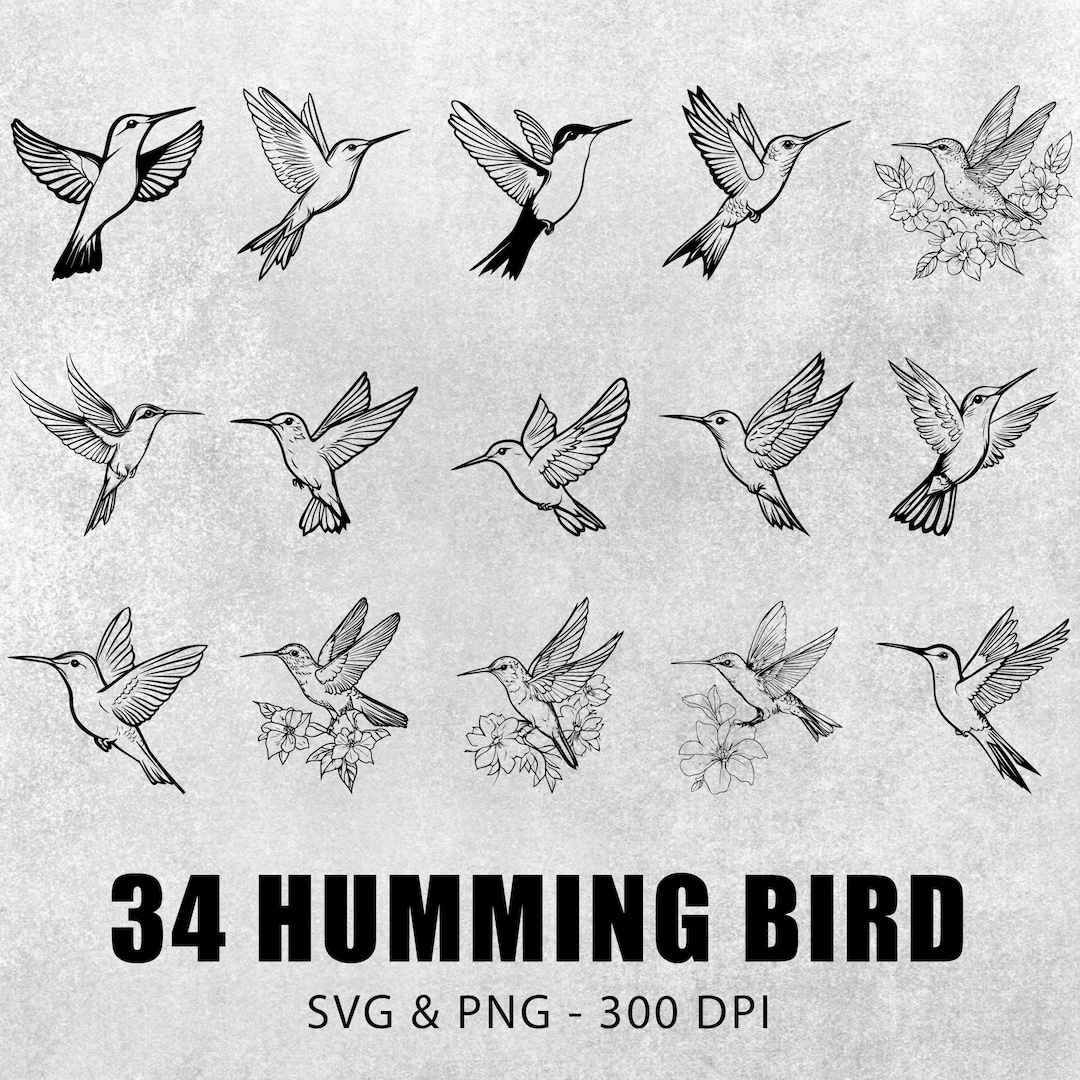 Humming Bird Svg Bundle, Humming Bird Vector Set, Humming Bird Clipart ...