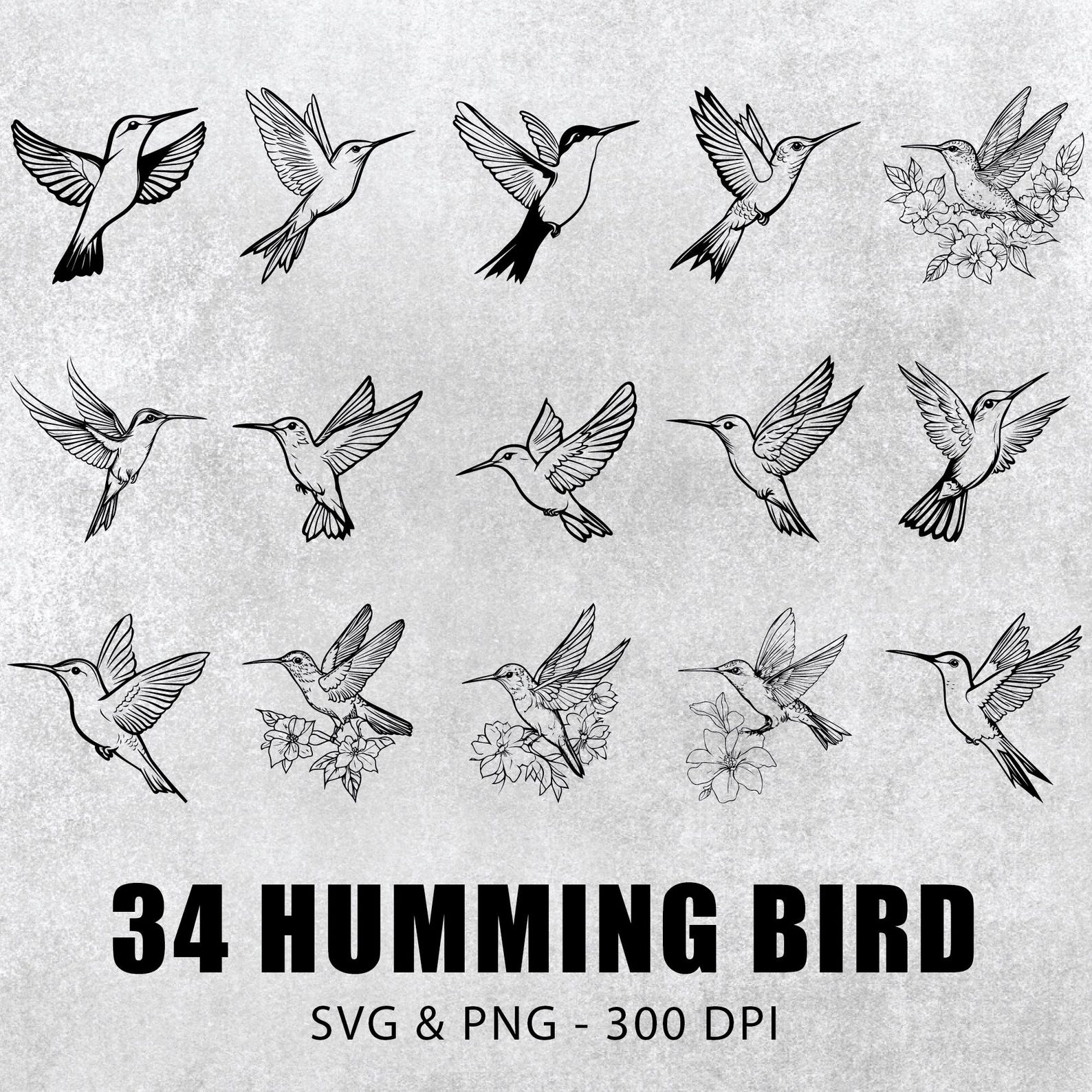 Humming Bird Svg Bundle, Humming Bird Vector Set, Humming Bird Clipart ...