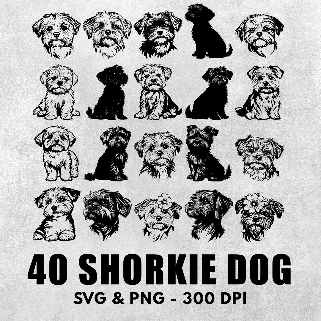 Shorkie Silhouette Bundle: Vector Clipart, Decal Art (SVG & PNG) - Etsy