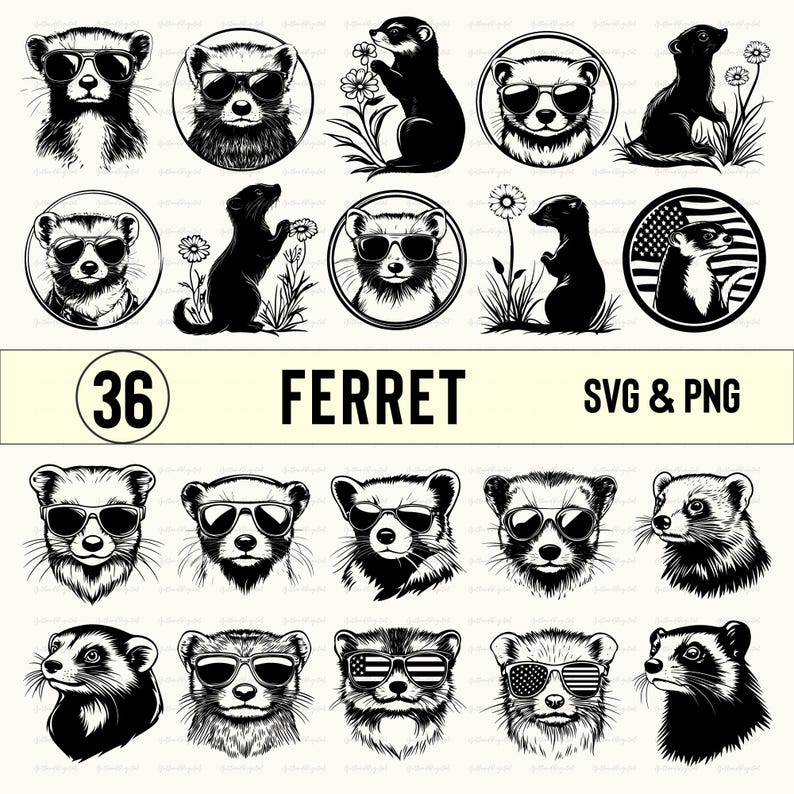 Ferret Clipart: Silhouette Vector Cut Files (SVG, PNG) - Etsy
